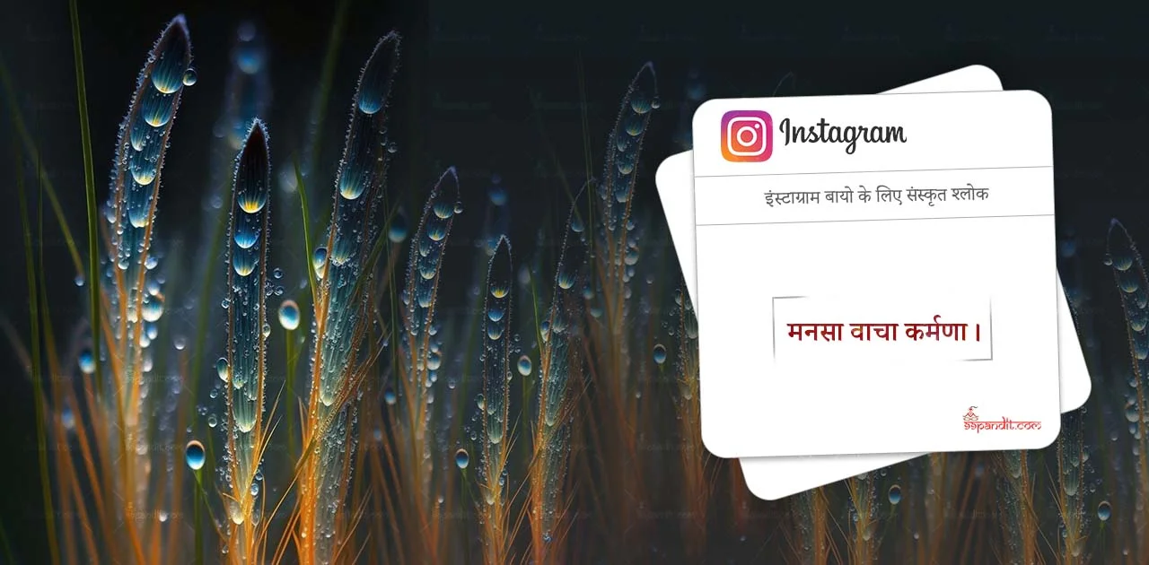 30+ Most Unique Sanskrit Quotes for Instagram Bio - 99Pandit